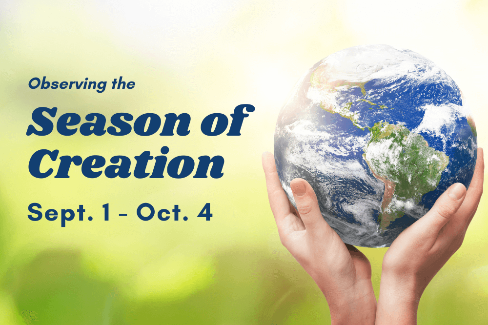 Celebrating Season of Creation 2025 – Saint Francis of Assisi Ministry